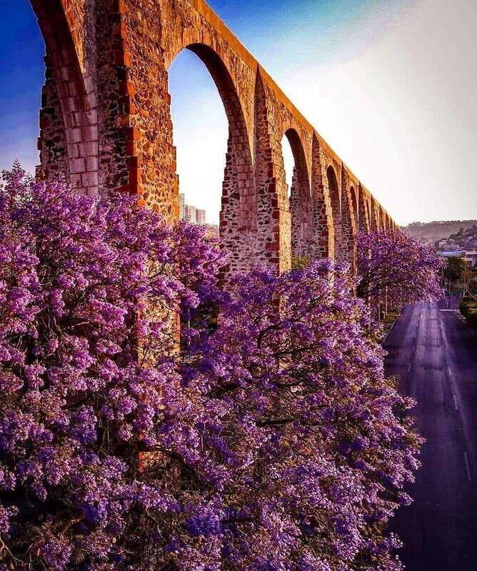 FROM CDMX and PUEBLA: Queretaro, Guanajuato, Hidalgo, Morelia 4 DAYS - Logistics and Value