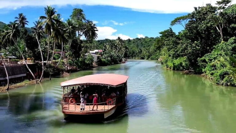 From Cebu: Bohol Countryside & Buffet Lunch Exclusive Tour - What the Tour Means for You