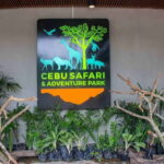 From Cebu City: Cebu Safari and Adventure Park Day Tour - Who Should Consider This Tour?