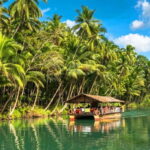 From Cebu: Full-Day Bohol Excursion - Exploring Bohol’s Famous Sights: What You’ll See and Do
