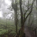 From Chiang Mai: Doi Inthanon National Park Day Trip - Value and Pricing: Is It Worth $62?