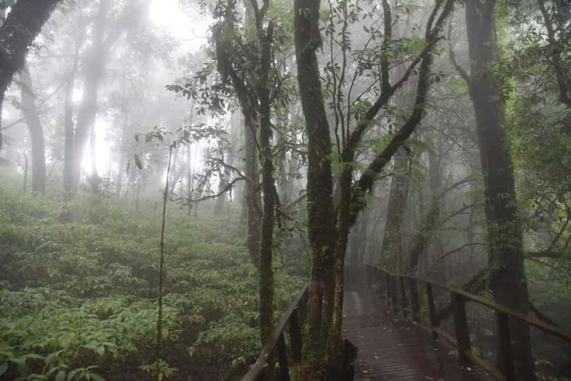 From Chiang Mai: Doi Inthanon National Park Day Trip - Value and Pricing: Is It Worth $62?
