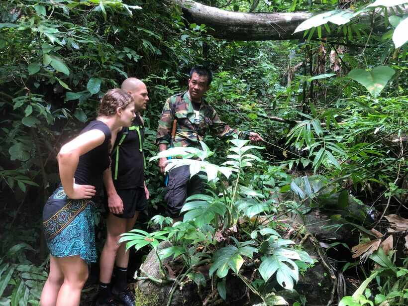 From Chiang Mai: Doi Saket Hiking Tour with Lunch - Practical Considerations: What to Know Before You Go
