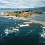 From Christchurch: Kaikura Day Tour With Dolphin Encounter - Price and Value Analysis