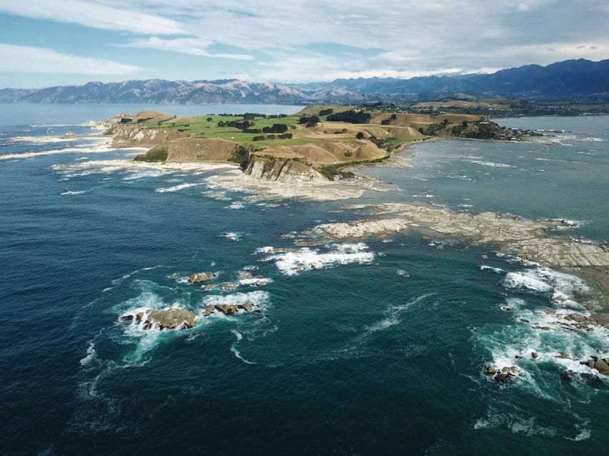 From Christchurch: Kaikura Day Tour With Dolphin Encounter - Price and Value Analysis