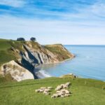 From Christchurch: Sheep Farm Day Trip with Lunch & Winery - Wineries and Wine Tastings in Waipara Valley