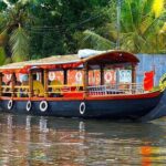 From Cochin Port: Backwaters by Shikara (Covered Canoe Boat) & Chinese Nets - A Deep Dive Into the Tour Experience