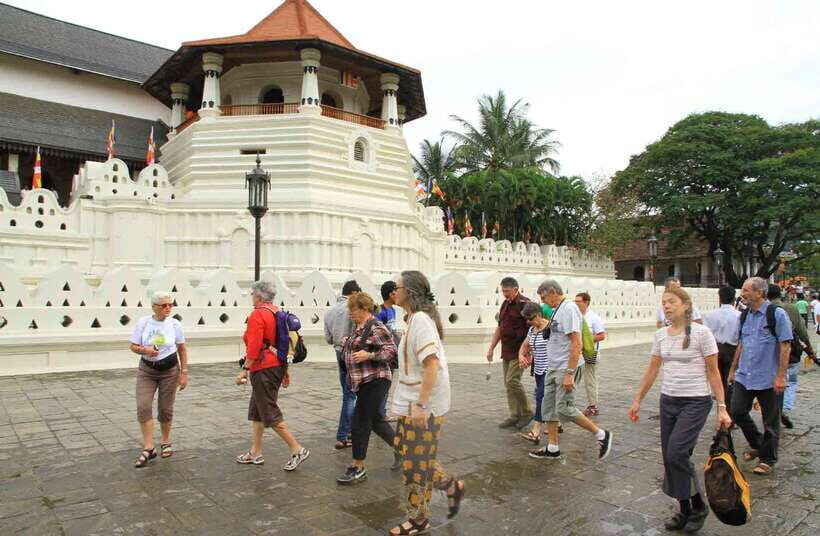 From Colombo: 2-Day All-Inclusive Kandy & Nuwara Eliya Tour - Value and Practical Tips