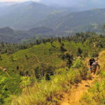 From Colombo: 3-Day Hill Country Escape with Train Ride - Whats Included and Whats Not