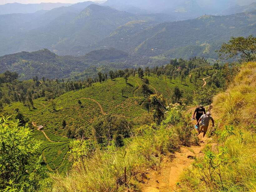 From Colombo: 3-Day Hill Country Escape with Train Ride - Whats Included and Whats Not