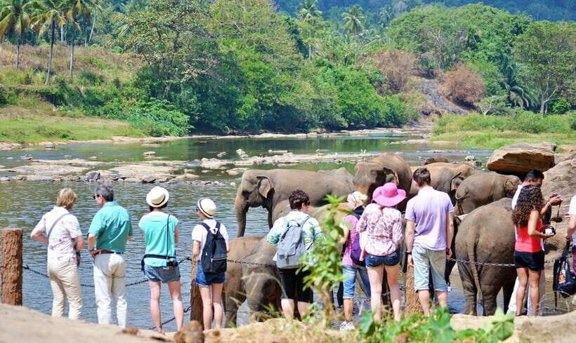 From Colombo: 4-Day Hill Country Tour with Train Ride - What’s Included and What’s Not