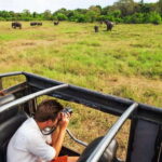 From Colombo: 4-Day Sri Lanka Tour with Elephant Orphanage - What This Tour Means for You