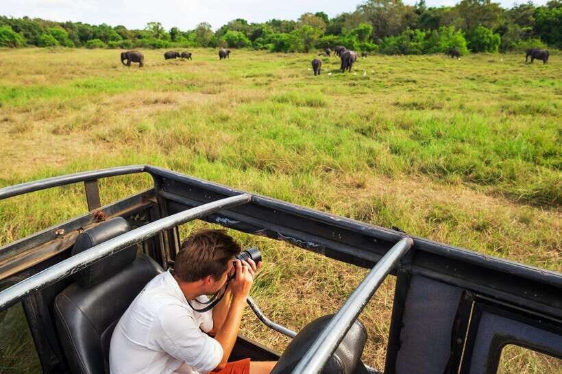 From Colombo: 4-Day Sri Lanka Tour with Elephant Orphanage - What This Tour Means for You