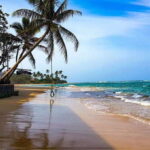 From Colombo: Galle Guided Tour with Herbal Massage - Who Would Enjoy This Tour?