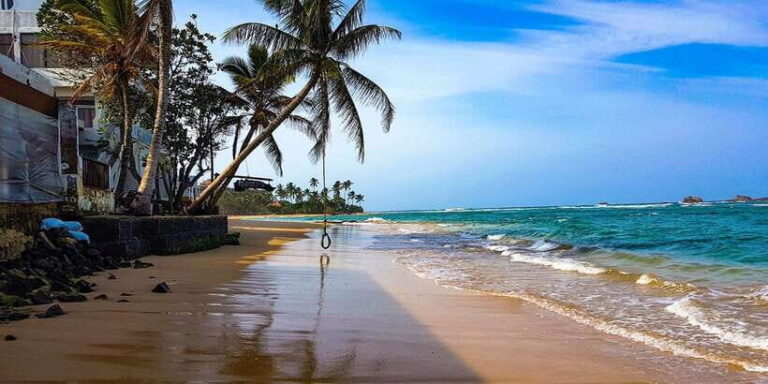 From Colombo: Galle Guided Tour with Herbal Massage - Who Would Enjoy This Tour?