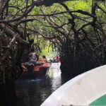 From Colombo: Handungoda, Galle, Ahangama, & Kosgoda Tour - What’s Included and What’s Not
