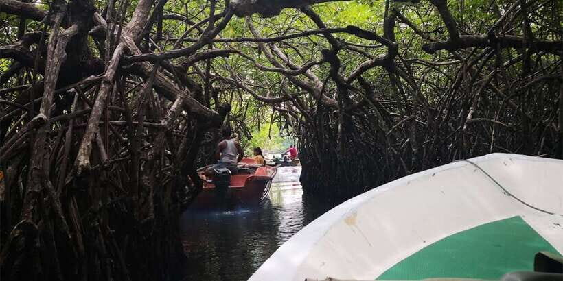 From Colombo: Handungoda, Galle, Ahangama, & Kosgoda Tour - What’s Included and What’s Not