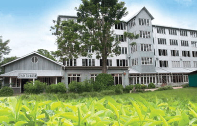 From Colombo: Kandy and Tea Plantations Day Trip - The Logistics: Timing & Comfort