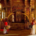From Colombo: Kandy & Pinnawala & Tea Factory Full Day Trip - What the Reviews Say