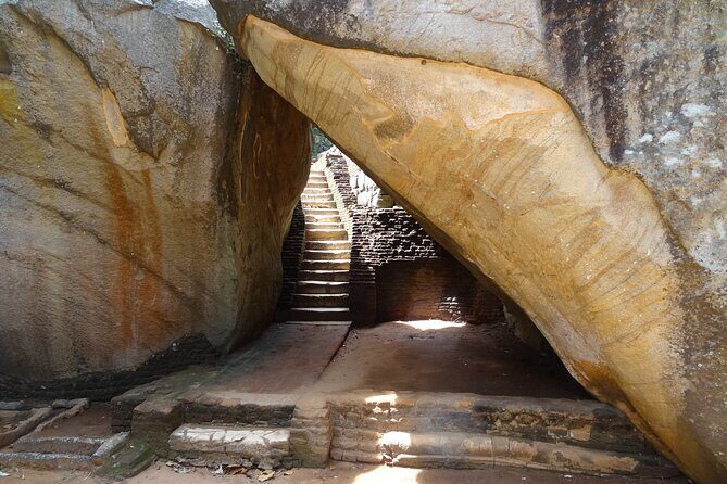 From Colombo/Negombo to Sigiriya, Dambulla Day Trip & Safari - Who Is This Tour Best For?