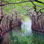 From Colombo to Galle Fort and Unawatuna Beach Day Trip - The Journey in Detail: What You Can Expect