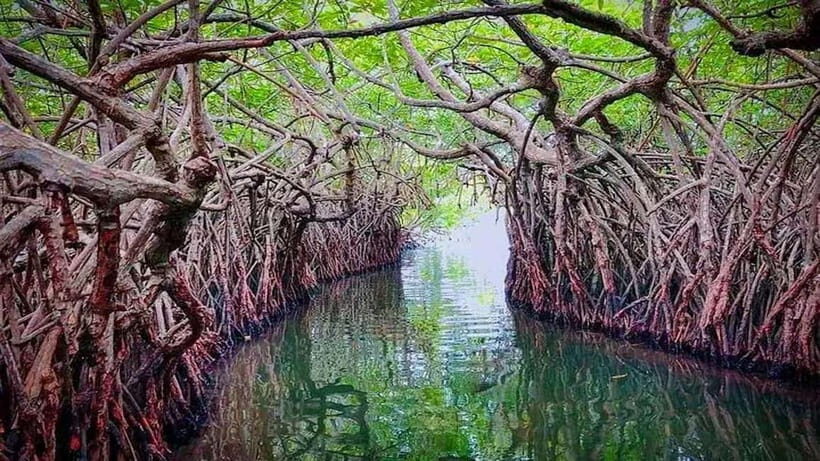 From Colombo to Galle Fort and Unawatuna Beach Day Trip - The Journey in Detail: What You Can Expect