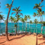 From Colombo to Yala 6-Day Private Trip with 21-Sites - Exploring Sri Lanka’s Cultural Triangle and Beyond