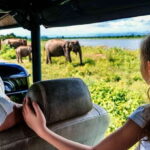 From Colombo: Yala National Park Safari with Transfer - What Makes This Tour Stand Out