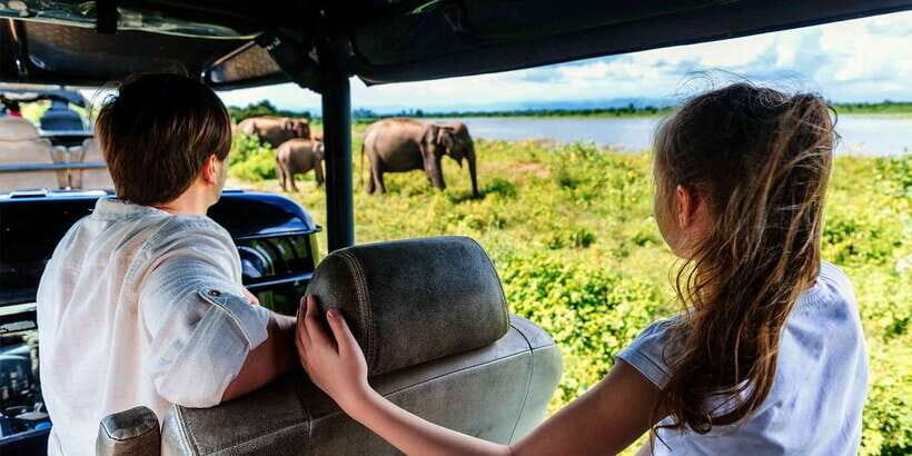 From Colombo: Yala National Park Safari with Transfer - What Makes This Tour Stand Out