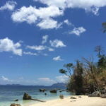 From Coron: Twin Lagoon and Skeleton Wreck Cruise with Lunch - Visiting Malcapuya Island & Other Beaches