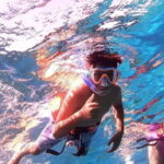From Cozumel: Official Chankanaab Park Day Pass and Snorkel - Detailed Breakdown of the Itinerary and Highlights