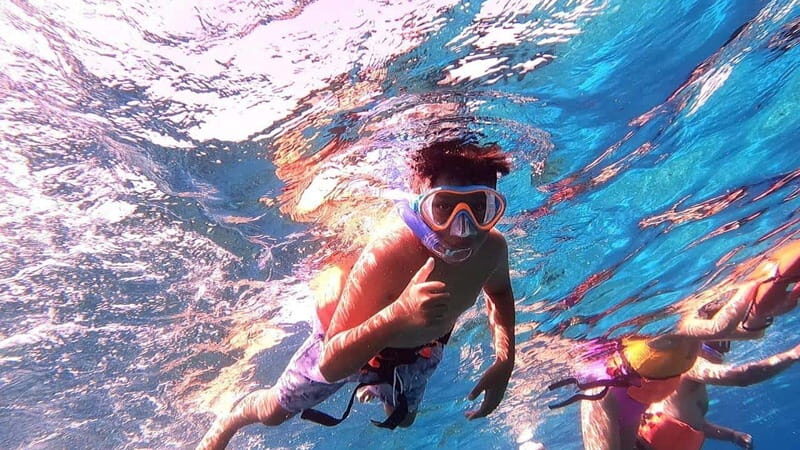 From Cozumel: Official Chankanaab Park Day Pass and Snorkel - Detailed Breakdown of the Itinerary and Highlights