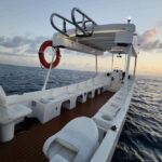 From Cozumel: Snorkel Private Charter to el Cielo & Cielito - Snorkeling Spots and Marine Life
