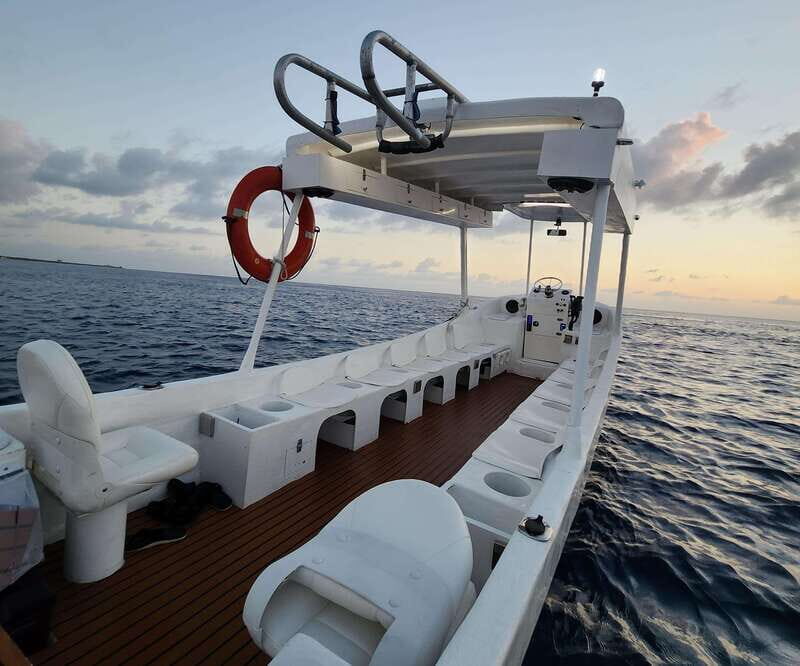 From Cozumel: Snorkel Private Charter to el Cielo & Cielito - Snorkeling Spots and Marine Life