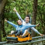From Da Lat: Visit Da Lat 1 Day - Detailed Breakdown of the Tour Itinerary