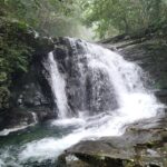 From Da Nang or Hoi An: Bach Ma National Park Trek & Lunch - What to Expect and Practical Tips