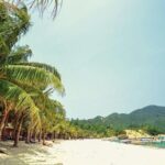 From Da Nang: Snorkeling & Island Hopping Tour by Speedboat - Practical Details That Matter