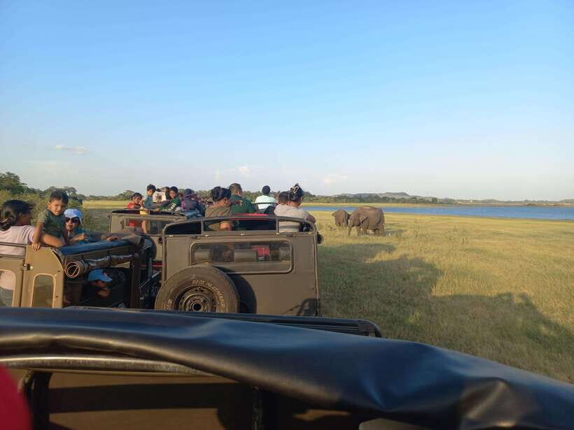From Dambulla: Minneriya National Park wild Jeep Safari - An In-Depth Look at the Minneriya Safari Experience