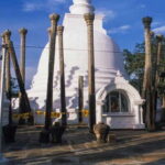 From Dambulla: Sacred City of Anuradhapura Private Day Tour - Detailed Breakdown of the Itinerary