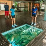 From Darwin: Kakadu Wilderness Escape Day Tour - Kakadu National Park: An Iconic UNESCO Site