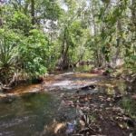 From Darwin: Litchfield National Park Small-Group Day Trip - What Sets This Tour Apart