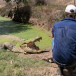 From Darwin: Top End Helicopter Ride & BBQ Cruise Day Trip - The Practical Details and Logistics