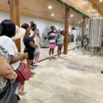 From DC: Premium Virginia Wine Country Tour with Tastings - Who Should Book This Tour?