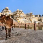 From Delhi: Full Day Jaipur City Guided Tour with Lunch - The Practical Aspects