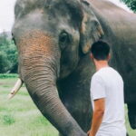 From Delhi: Sunrise Taj Mahal & visit Elephant Conservation - Who Is This Tour Best For?