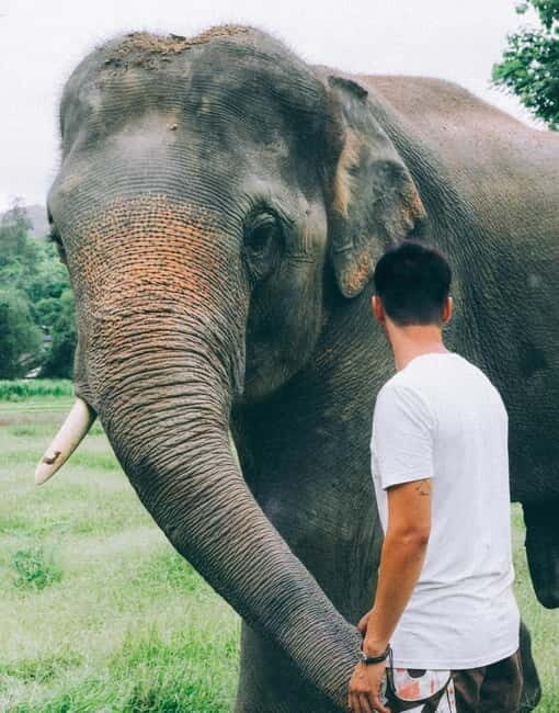 From Delhi: Sunrise Taj Mahal & visit Elephant Conservation - Who Is This Tour Best For?