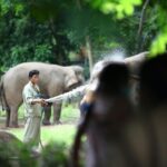 From Delhi: Taj Mahal Sunrise, Agra Fort & Elephant Tour - The Practicalities: What to Expect and What’s Included