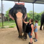 From Delhi: Taj Mahal Sunrise & Elephant Conservation by Car - Frequently Asked Questions