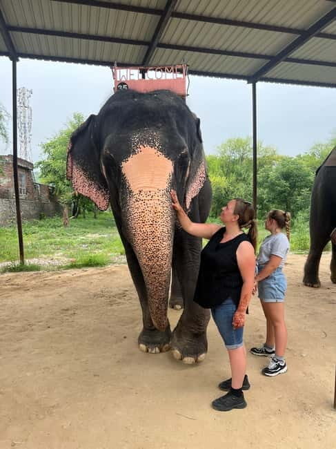 From Delhi: Taj Mahal Sunrise & Elephant Conservation by Car - Frequently Asked Questions