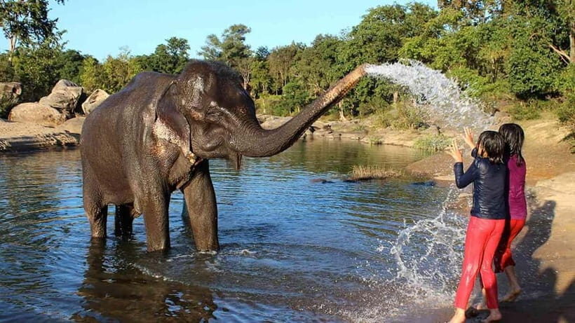 From Delhi: Taj Mahal Sunrise Tour w/ Elephant Conservation - A Deep Dive into the Tour Experience